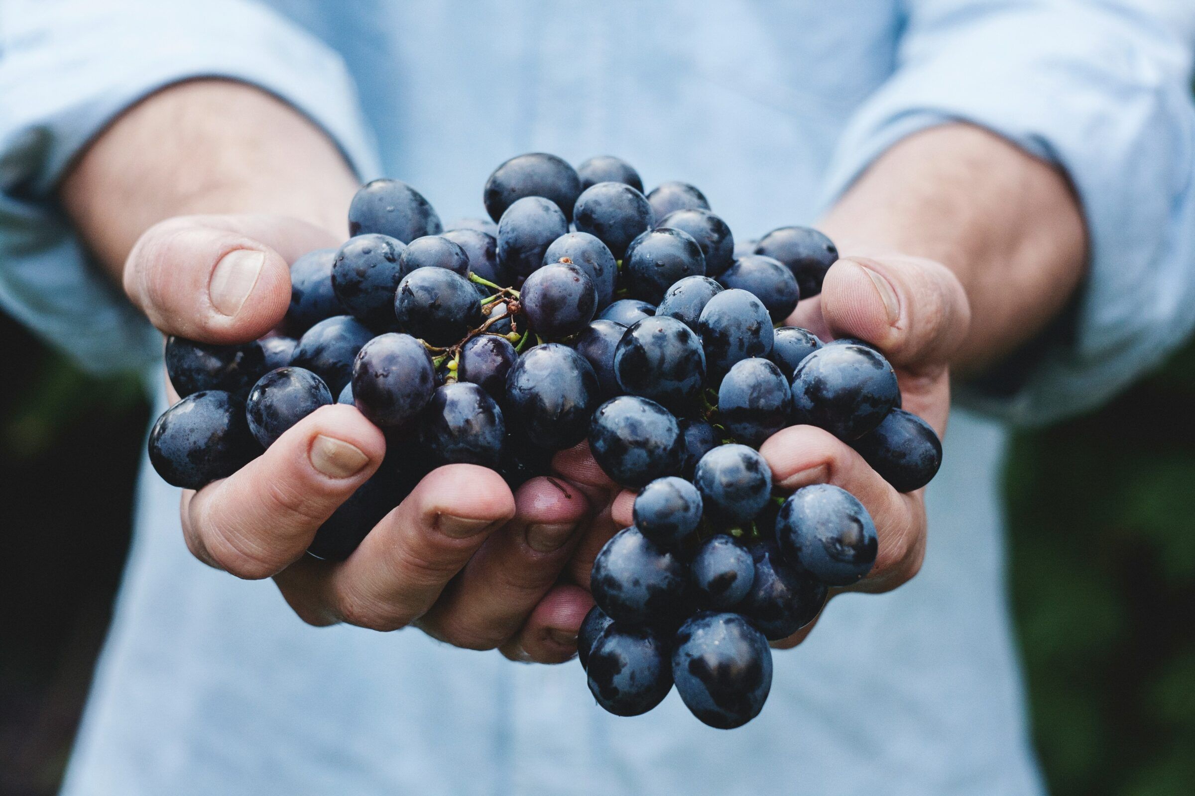 Mercure Barossa Valley | Barossa Valley Hotel | Accommodation
